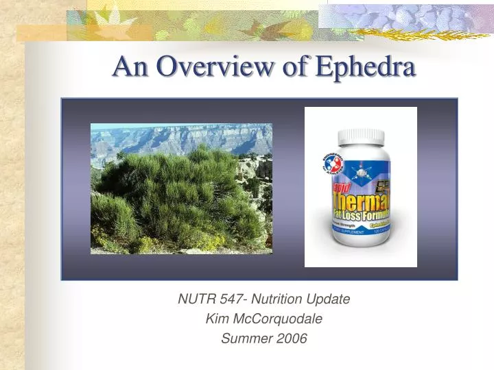 PPT - An Overview of Ephedra PowerPoint Presentation, free download ...