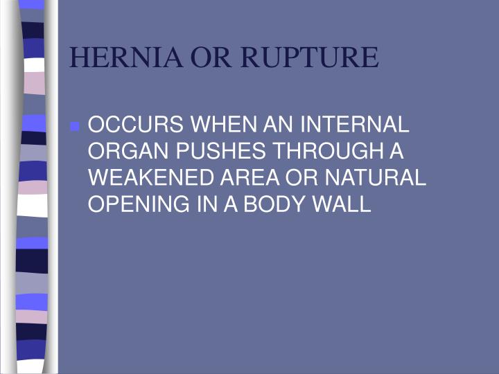 PPT - DIGESTIVE SYSTEM PowerPoint Presentation - ID:149891