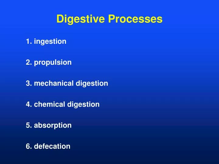 PPT - Digestive Processes PowerPoint Presentation, free download - ID ...