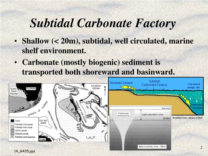 PPT - Shallow Marine Carbonate Environments PowerPoint Presentation ...