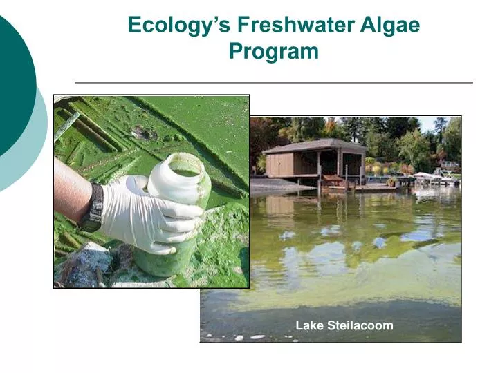 PPT - Ecology’s Freshwater Algae Program PowerPoint Presentation, free ...