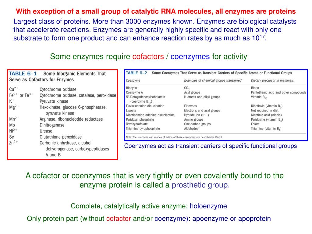 PPT - Chemistry 501 Handout 6 Enzymes Chapter 6 PowerPoint Presentation ... PPT - Chemistry 501 Handout 6 Enzymes Chapter 6 PowerPoint Presentation ...