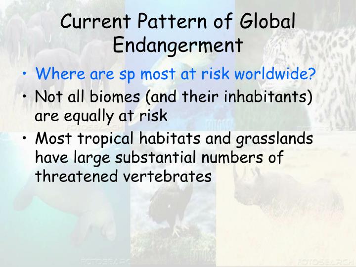 PPT - Threats to Biodiversity chap 3 PowerPoint Presentation - ID:151321