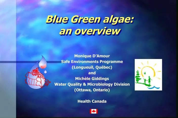 PPT - Blue Green algae: an overview PowerPoint Presentation - ID:151791