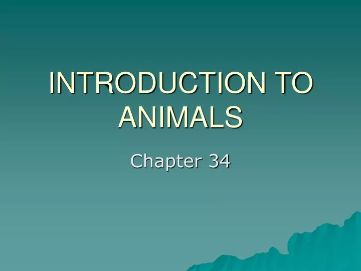 PPT - INTRODUCTION TO ANIMALS PowerPoint Presentation, free download ...