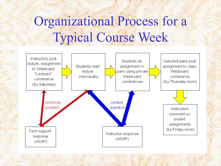 PPT - Engaging Students in Learning Activities PowerPoint Presentation ...