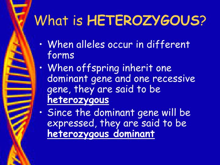 PPT - Genetics & Heredity PowerPoint Presentation - ID:15641