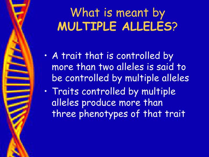 PPT - Genetics & Heredity PowerPoint Presentation - ID:15641