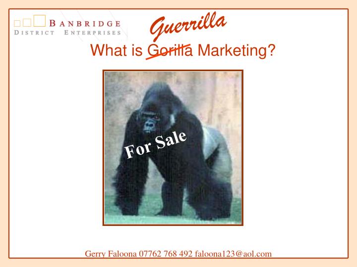 PPT - What is Gorilla Marketing? PowerPoint Presentation, free download ...