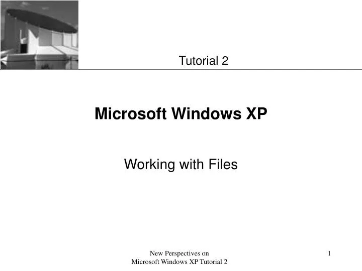 PPT - Microsoft Windows XP PowerPoint Presentation, free download - ID ...