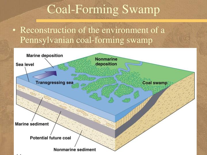 PPT - Late Paleozoic Earth History PowerPoint Presentation - ID:157896