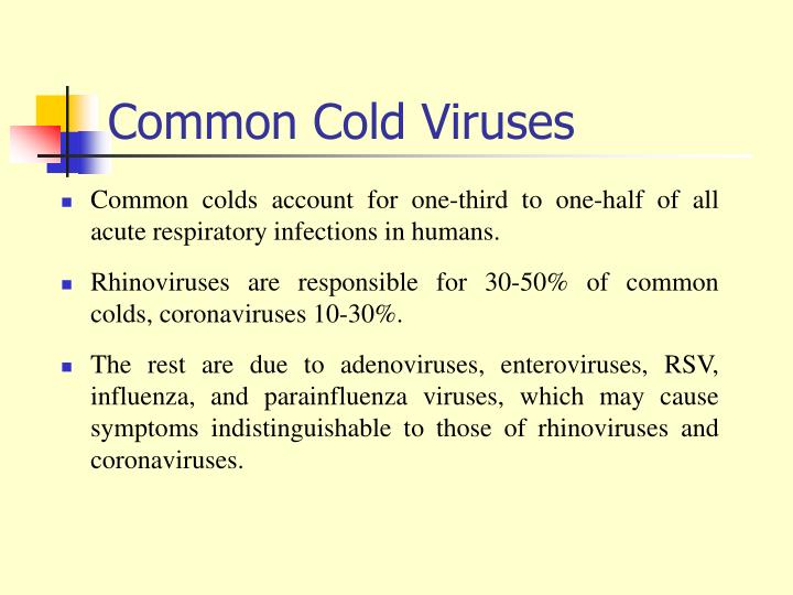 PPT - Respiratory Viruses PowerPoint Presentation - ID:158054