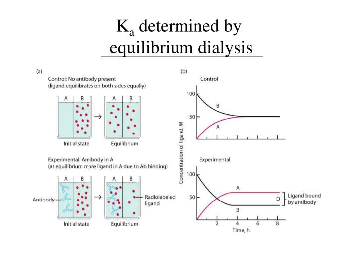 PPT - Chap. 6 – Antigen-Antibody interactions PowerPoint Presentation ...