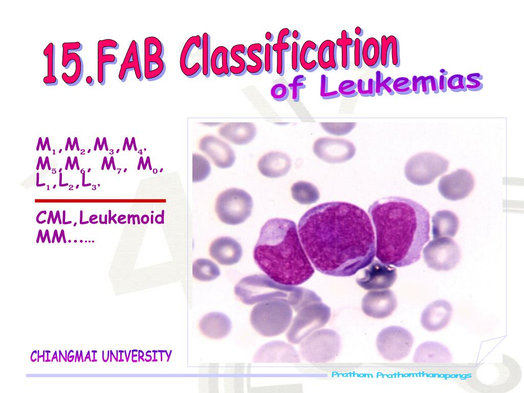 PPT - Prathom Prathomthanapongs PowerPoint Presentation, free download ...