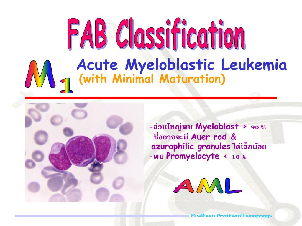 PPT - Prathom Prathomthanapongs PowerPoint Presentation, free download ...