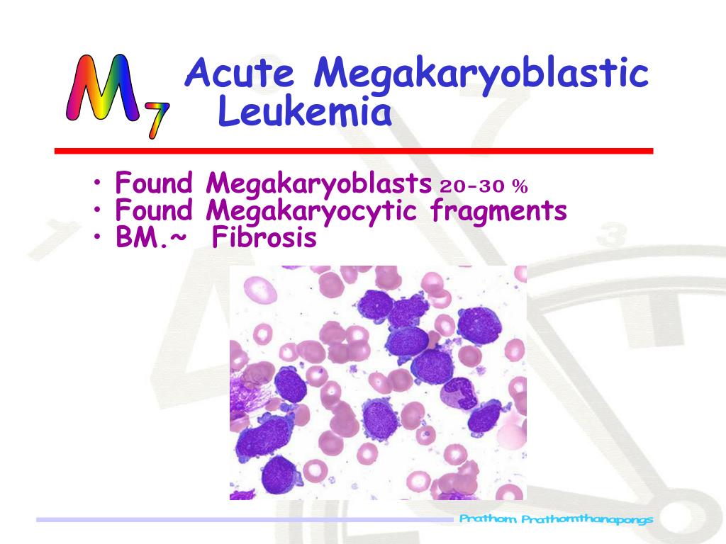 PPT - Prathom Prathomthanapongs PowerPoint Presentation, free download ...