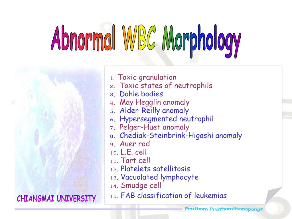 PPT - Prathom Prathomthanapongs PowerPoint Presentation, free download ...