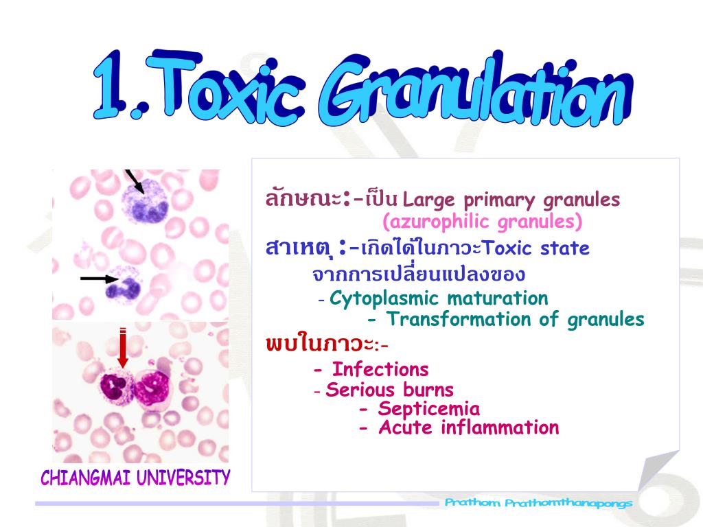 PPT - Prathom Prathomthanapongs PowerPoint Presentation, free download ...