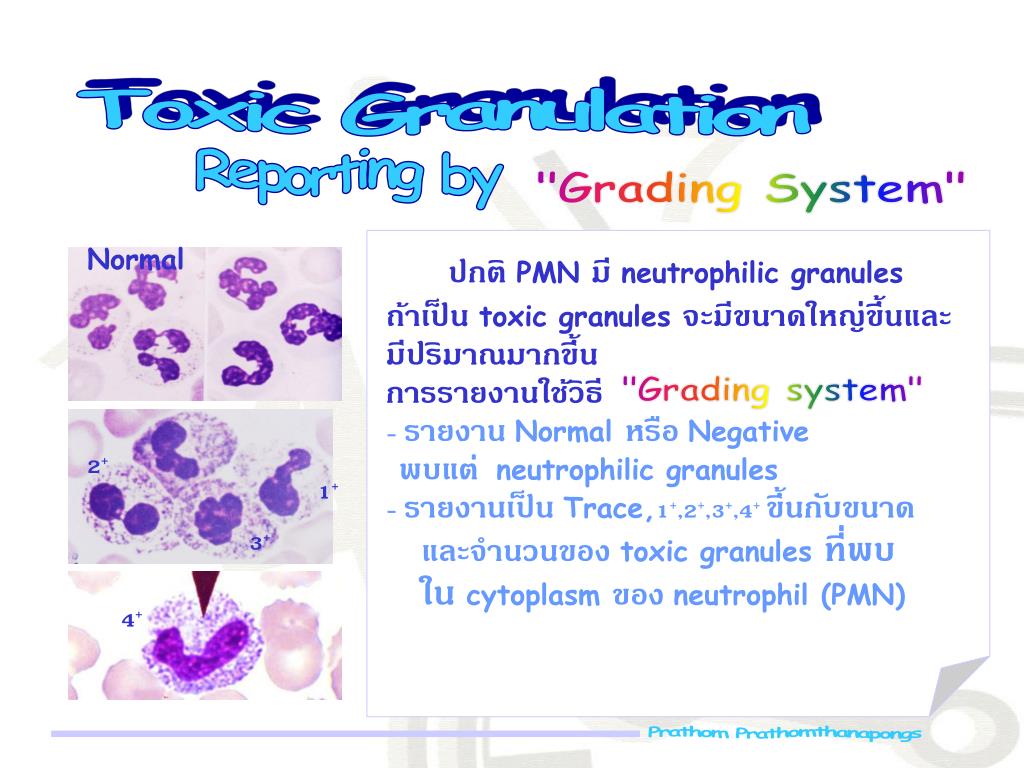 PPT - Prathom Prathomthanapongs PowerPoint Presentation, free download ...