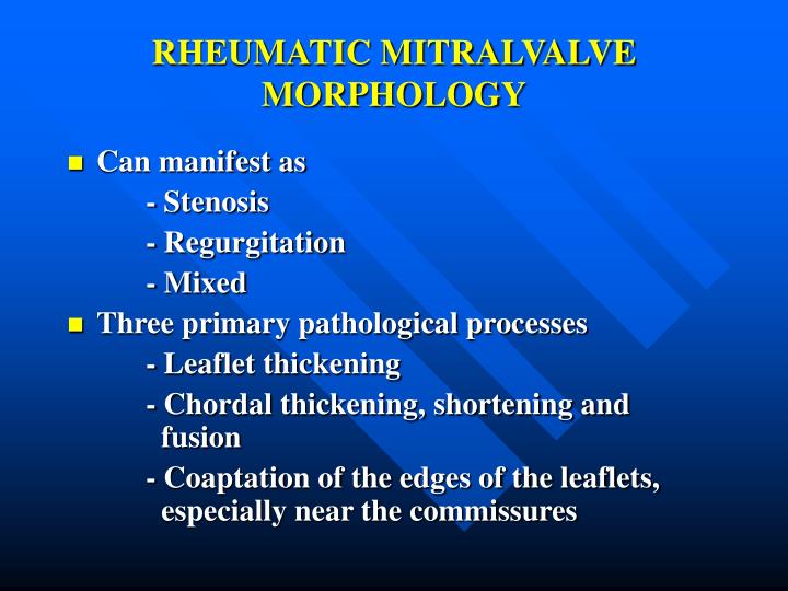 PPT - MORPHOLOGY OF THE MITRAL VALVE PowerPoint Presentation - ID:158775