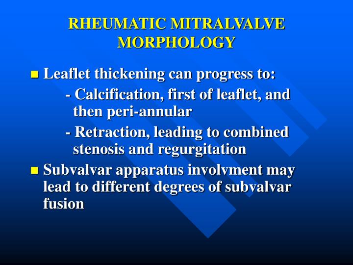 PPT - MORPHOLOGY OF THE MITRAL VALVE PowerPoint Presentation - ID:158775