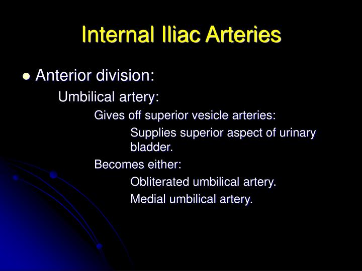 PPT - PELVIC BLOOD SUPPLY PowerPoint Presentation - ID:161385