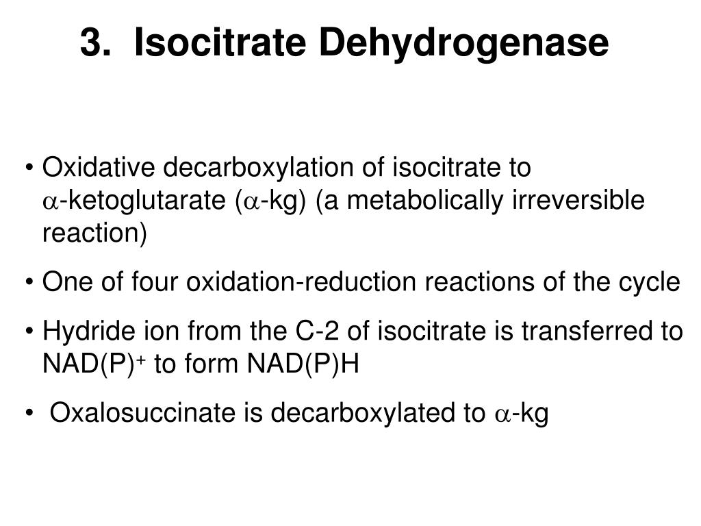 PPT - 12.3 The Citric Acid Cycle Oxidizes AcetylCoA PowerPoint ...