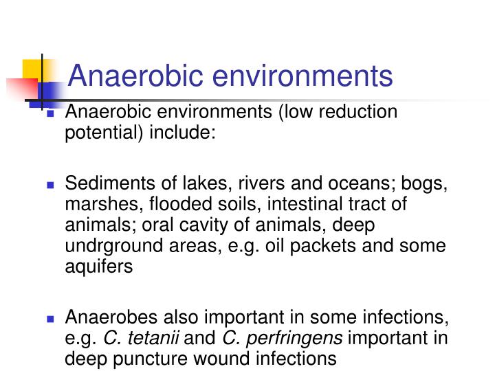 PPT - Anaerobic Culture Techniques PowerPoint Presentation - ID:162007