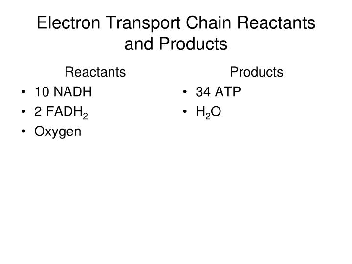 PPT - Photosynthesis and Cellular Respiration PowerPoint Presentation ...