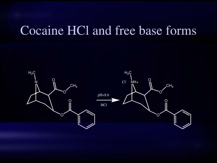 PPT - Clinical and Forensic Toxicology PowerPoint Presentation - ID:162690