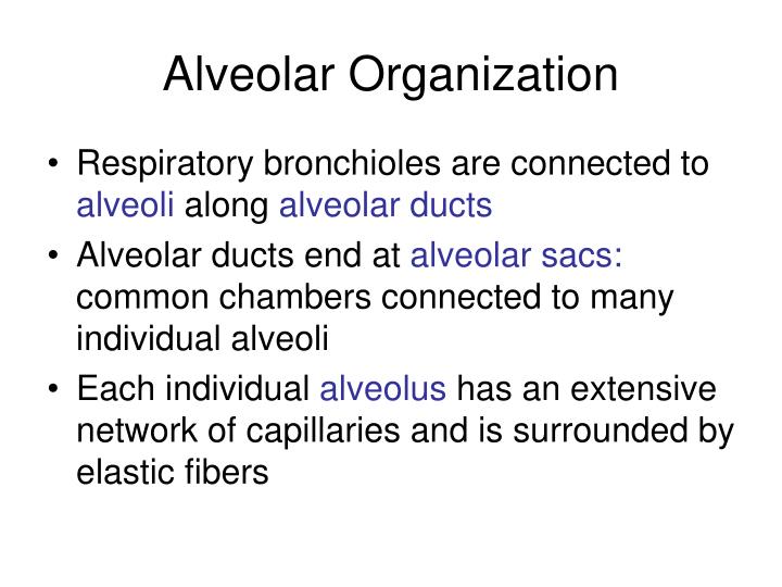PPT - Chapter 22. PowerPoint Presentation - ID:163870