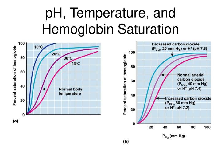 PPT - Chapter 22. PowerPoint Presentation - ID:163870