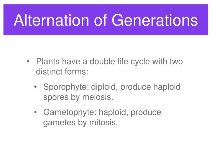 PPT - Plant Reproduction PowerPoint Presentation - ID:164567