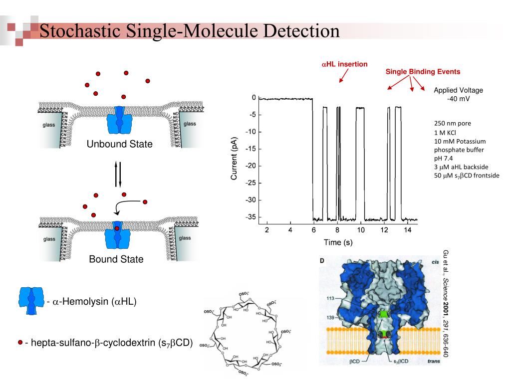 Ppt Nanopore Membranes For Single Molecule Detection And