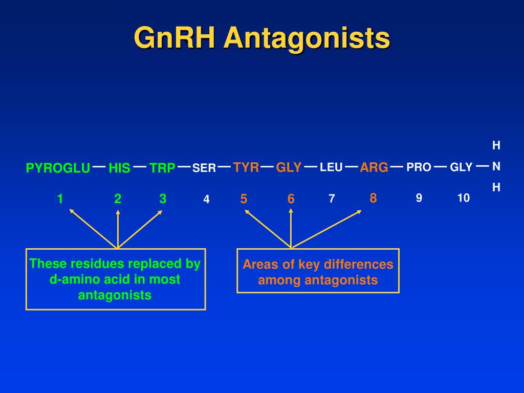 PPT - The Pharmacobiology of GnRH/LHRH Agonists and Antagonists ...