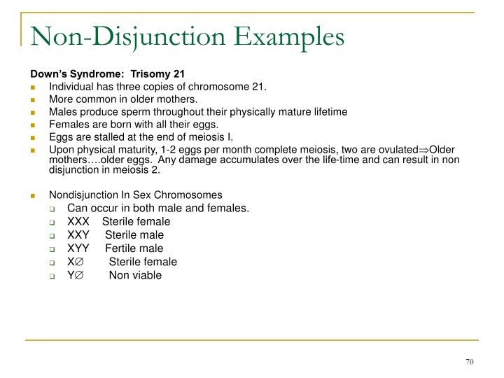 PPT - Unit 3 PowerPoint Presentation - ID:167776