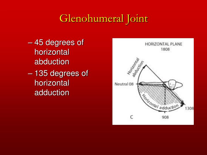 PPT - Chapter 5 The Shoulder Joint PowerPoint Presentation - ID:172726