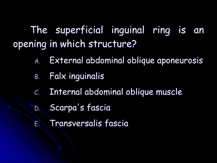 PPT - ABDOMEN PowerPoint Presentation - ID:172738