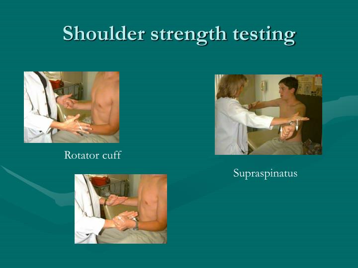 PPT - The Musculoskeletal Examination in the Elderly PowerPoint ...