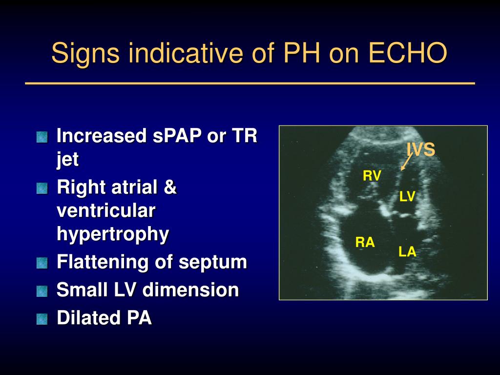 PPT - Pulmonary Arterial Hypertension: A Few Steps on the Long March to ...