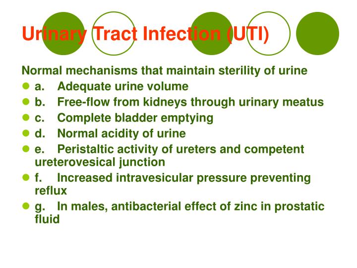 PPT - Urinary Tract Infection (UTI) PowerPoint Presentation - ID:177583