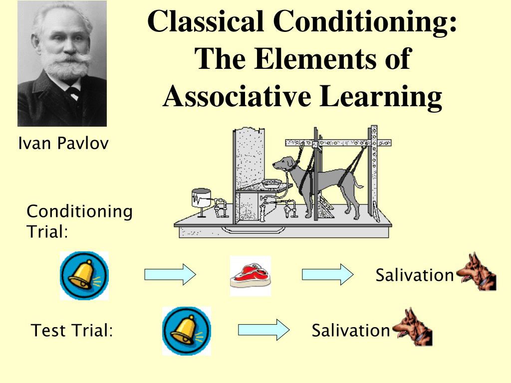 PPT Classical Conditioning The Elements Of Associative Learning PPT Classical Conditioning The Elements Of Associative Learning