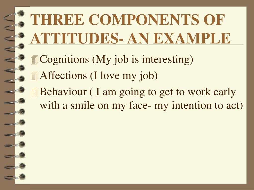 3 Components Of Attitudes Explained - vrogue.co 3 Components Of Attitudes Explained - vrogue.co