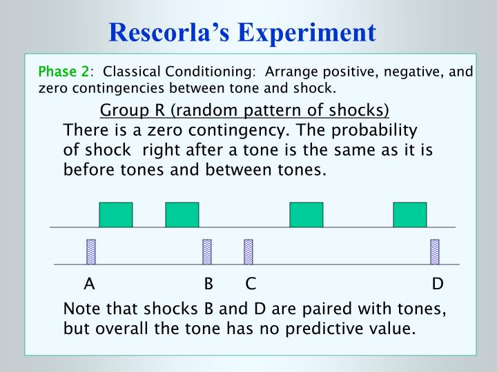 PPT - Rescorla’s Experiment PowerPoint Presentation - ID:181697