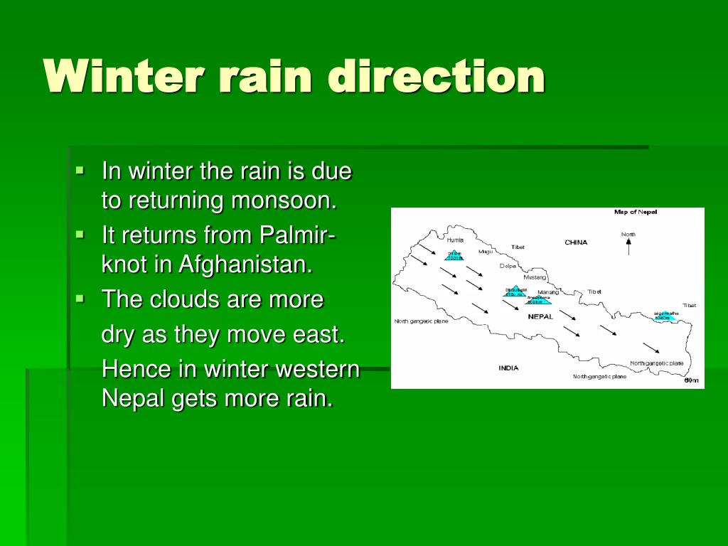 PPT - Natural Product Chemistry B.Sc. [Biochem] PowerPoint Presentation ...