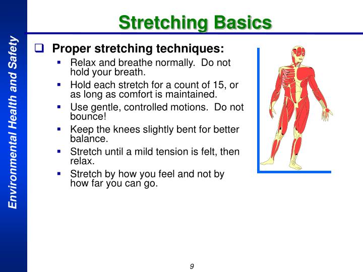 PPT - Construction Ergonomics PowerPoint Presentation - ID:182393