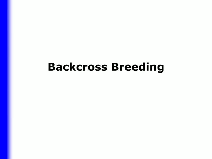 PPT - Backcross Breeding PowerPoint Presentation - ID:182456