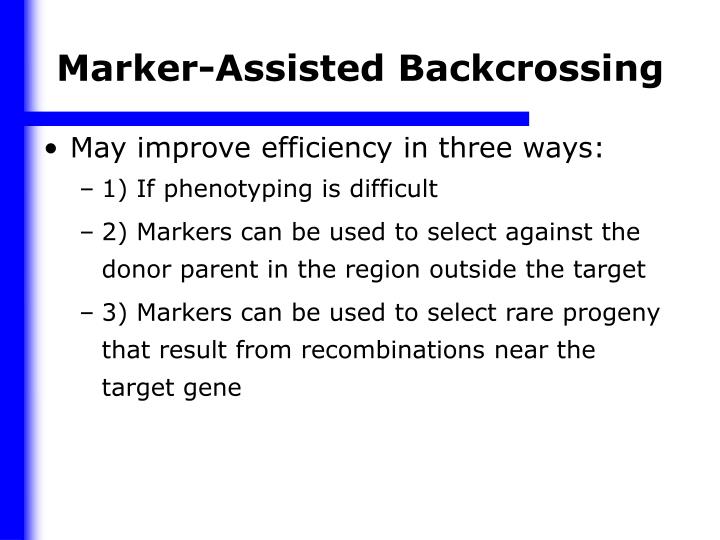 PPT - Backcross Breeding PowerPoint Presentation - ID:182456