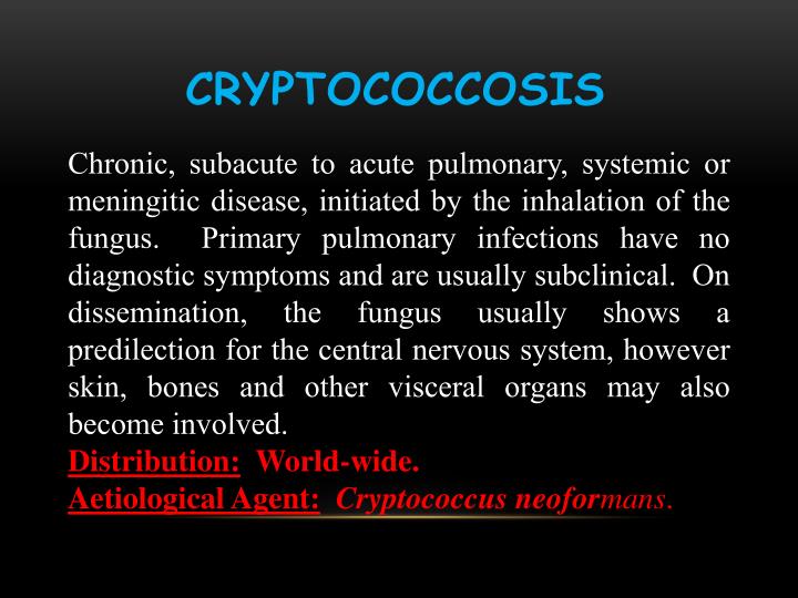 PPT - Cryptococcus neoformans PowerPoint Presentation - ID:182746
