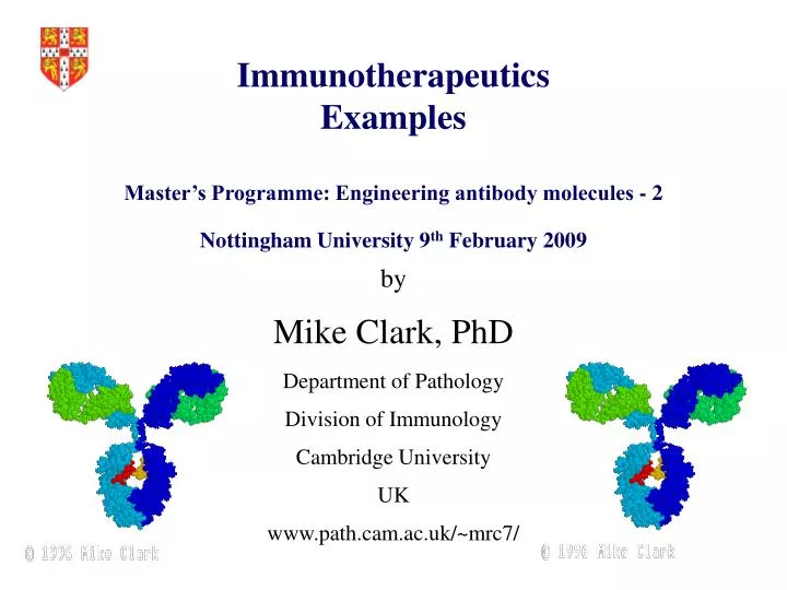 PPT - Immunotherapeutics Examples Master’s Programme: Engineering ...